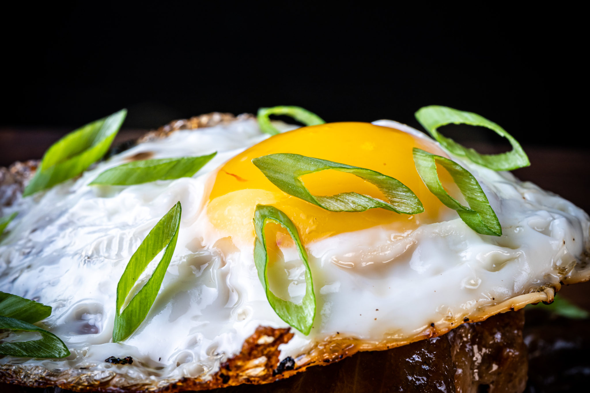 Loco Moco – Sushi Day