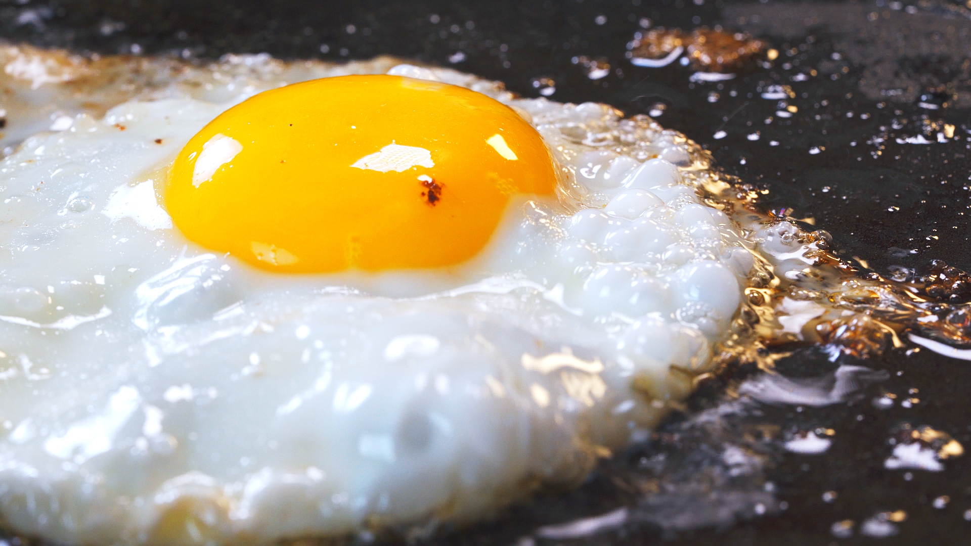 Shrimpy’s Perfect Fried Egg – Sushi Day